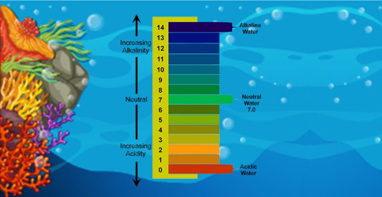 What Is pH? Clear Answers and Real-Life Examples